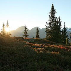 Unsere Gemeinde - Gemeinde Tujetsch