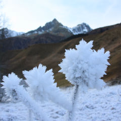 Unsere Gemeinde - Gemeinde Tujetsch